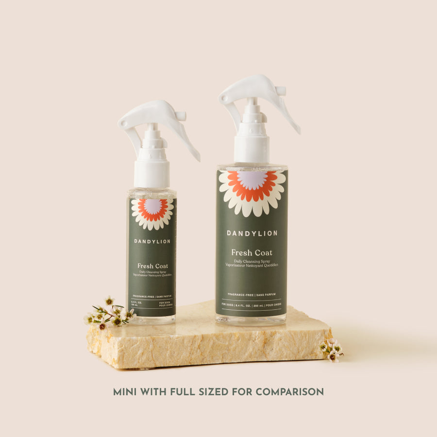 Fresh Coat Mini (100mL) – Dandylion