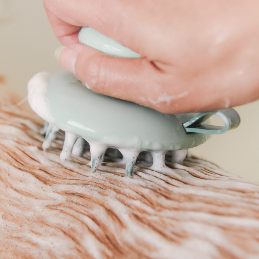 Scrub Brush | Deshed + Lather – Dandylion